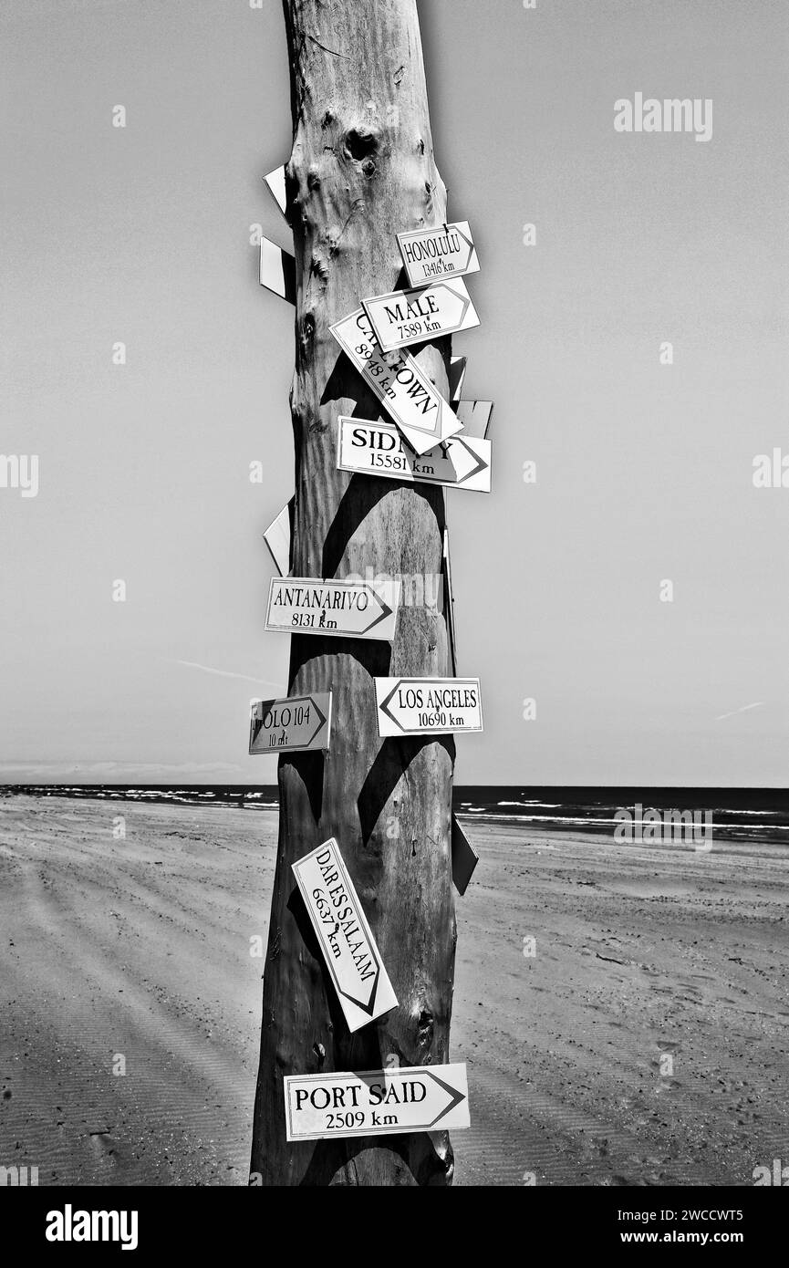 Bonelli (Ro), Po River Delta, Beach of the Barricade,a trunk of a tree ...