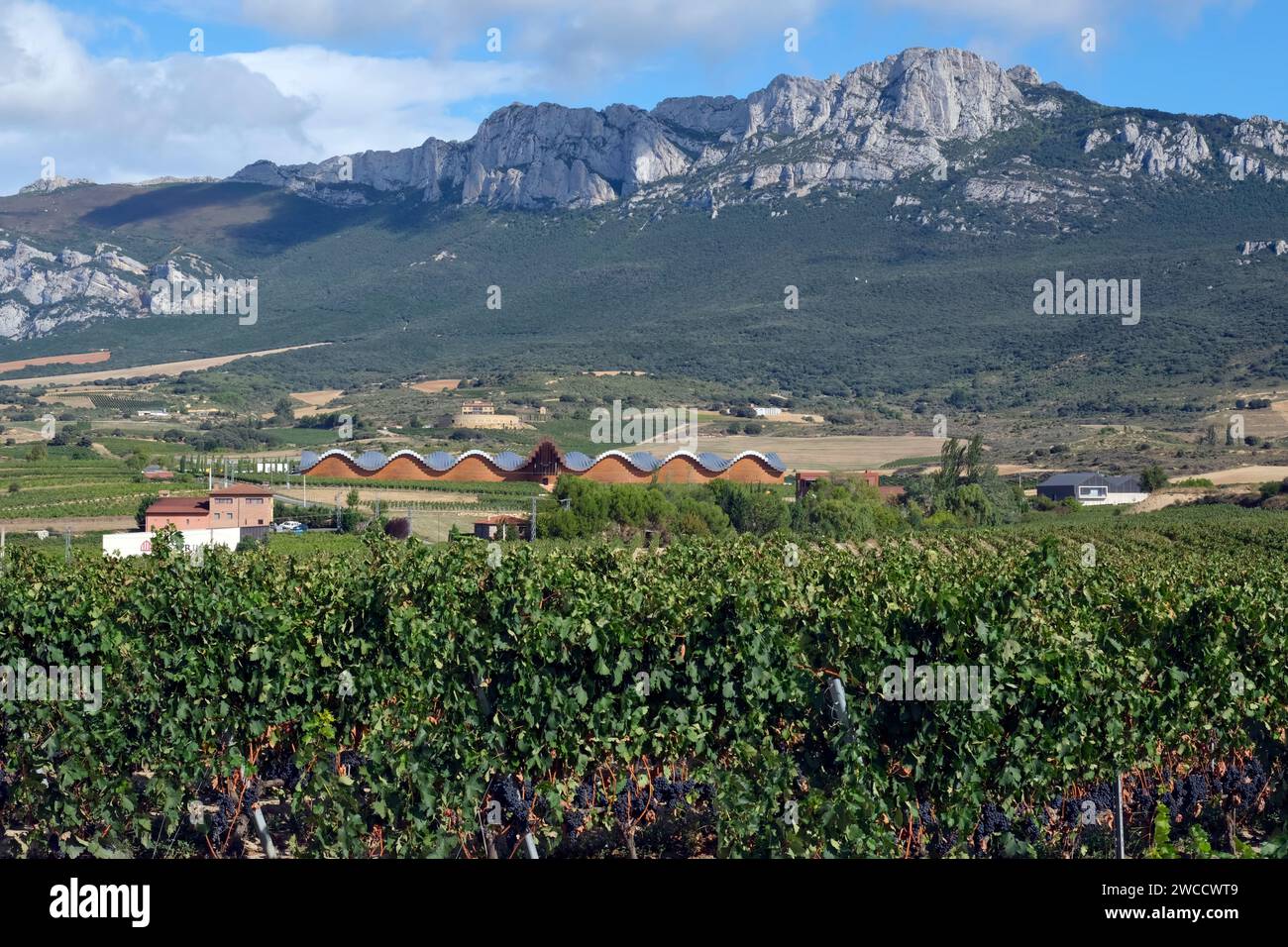 Bodega Ysios Winery with its distinctive roof , designed by Santiago ...