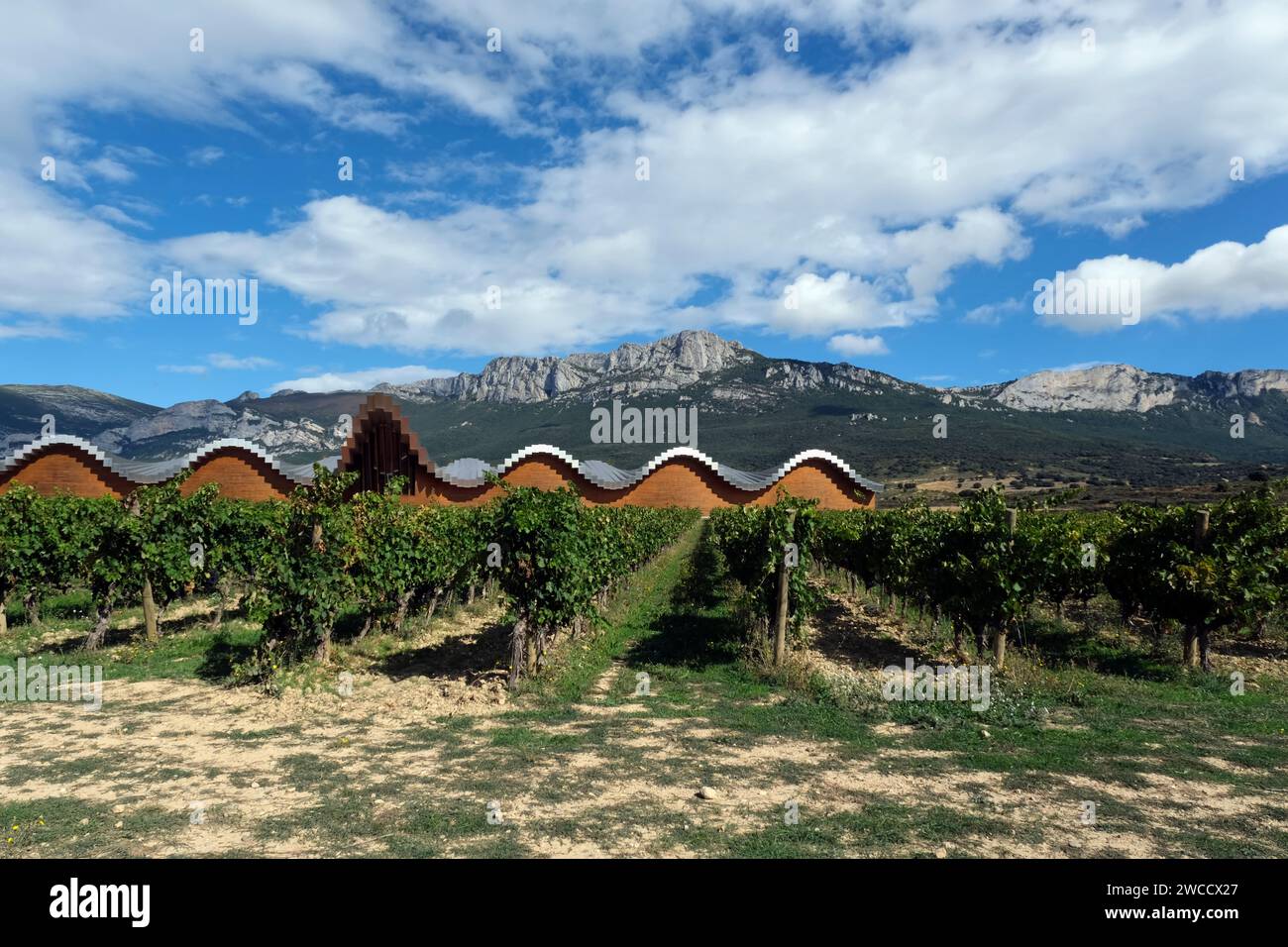 Bodega Ysios Winery with its distinctive roof , designed by Santiago ...