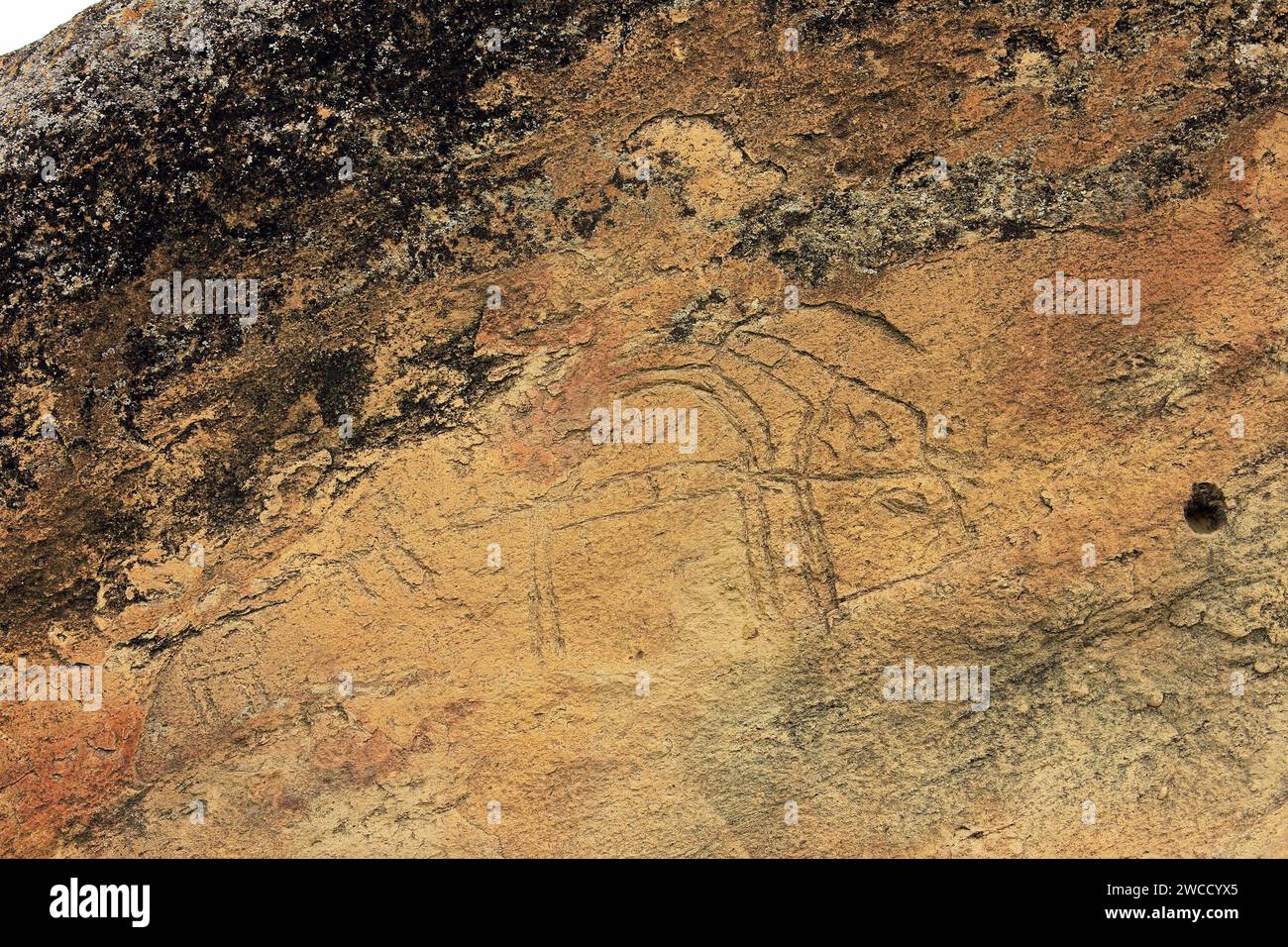 Azerbaijan. 05.15.2017 Ancient stone paintings in the Gobustan region ...