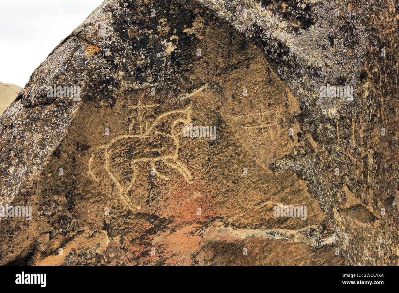 Azerbaijan. 05.15.2017 Ancient stone paintings in the Gobustan region ...