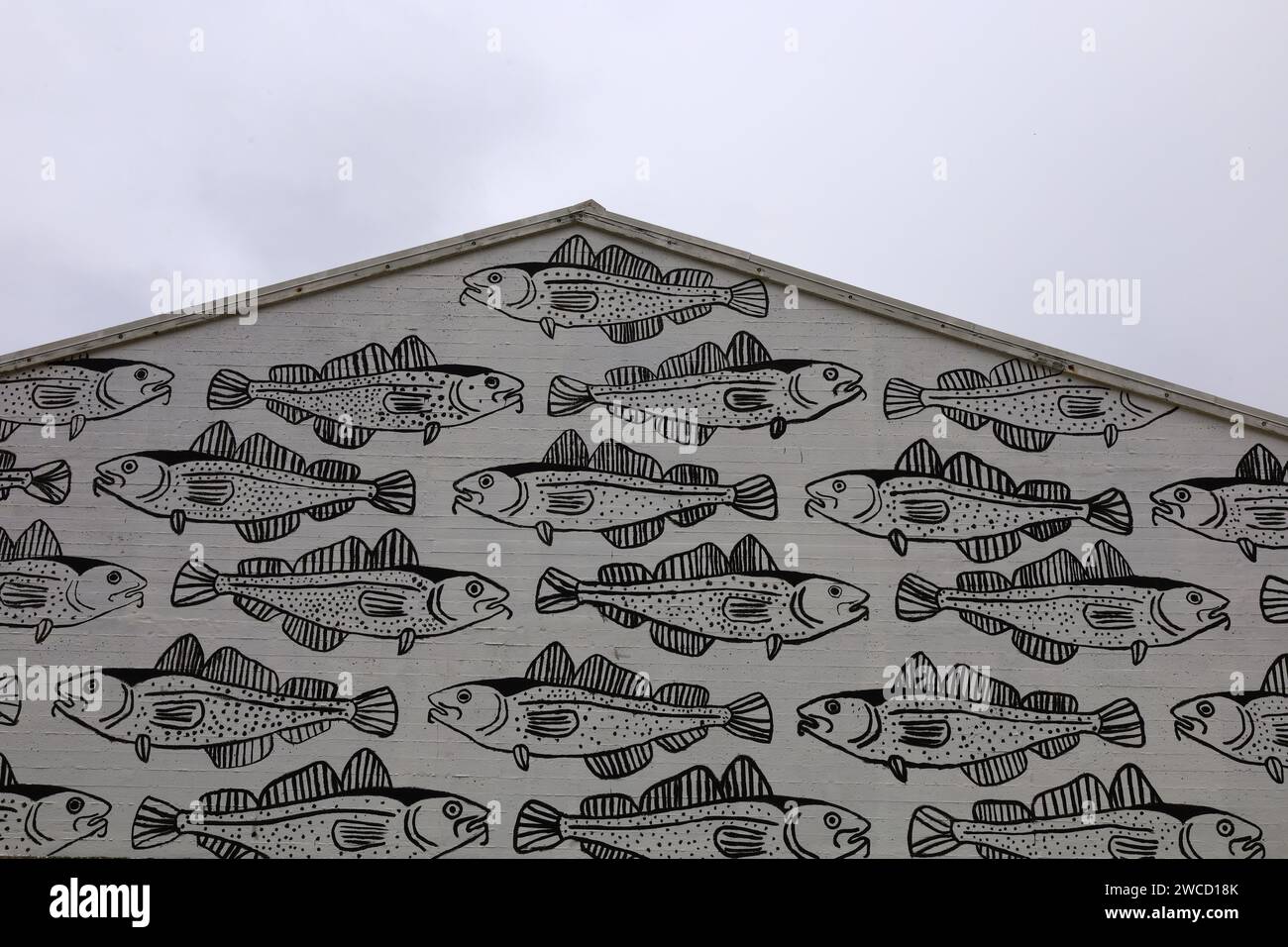 Akranes is a port town and municipality on the west coast of Iceland ...