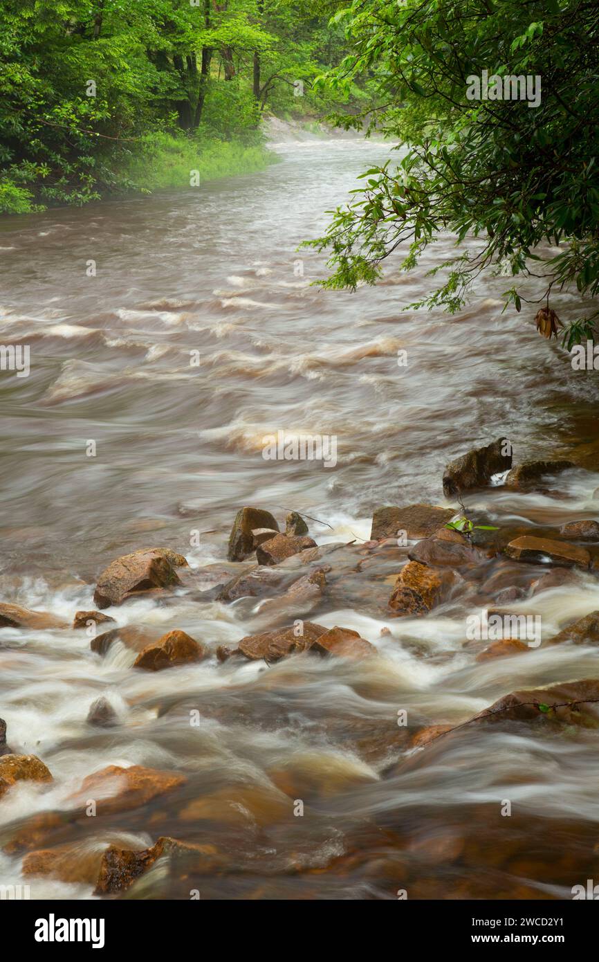 Hawk Run at Mud Run confluence along Hawk Falls Trail, Hickory Run ...