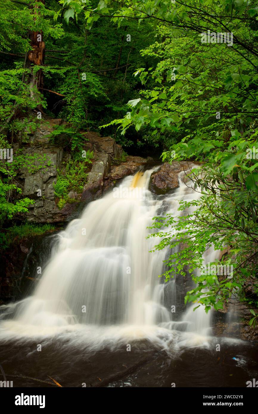 Hawk Falls along Hawk Falls Trail, Hickory Run State Park, Pennsylvania ...