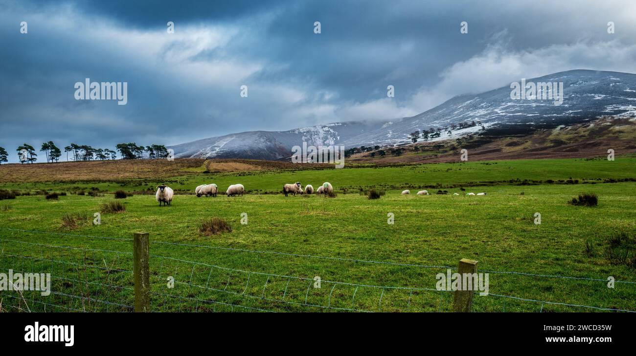 Leica q3 hi-res stock photography and images - Alamy