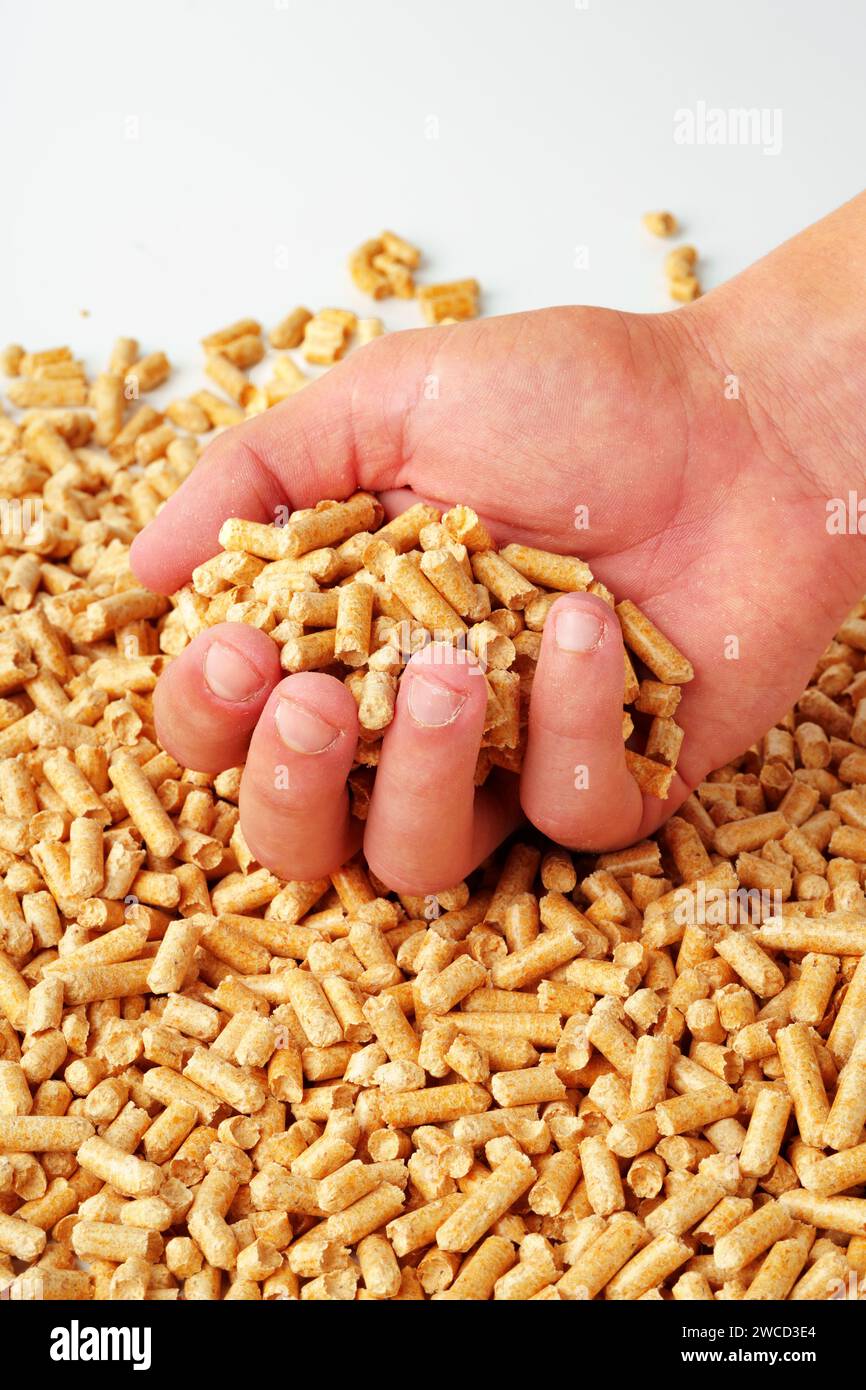 Human hands holding wooden pellets biofuel studio shot Stock Photo - Alamy