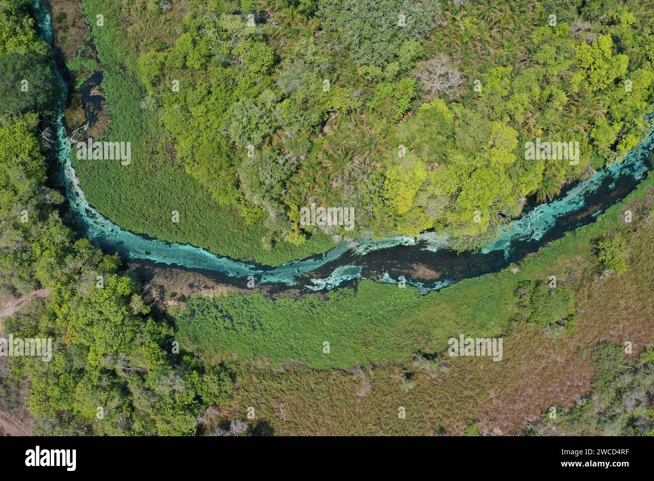 Bonito river hi-res stock photography and images - Alamy