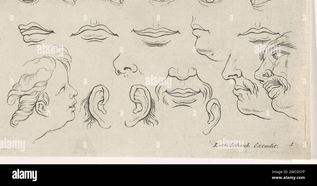 Human faces studies hi-res stock photography and images - Alamy