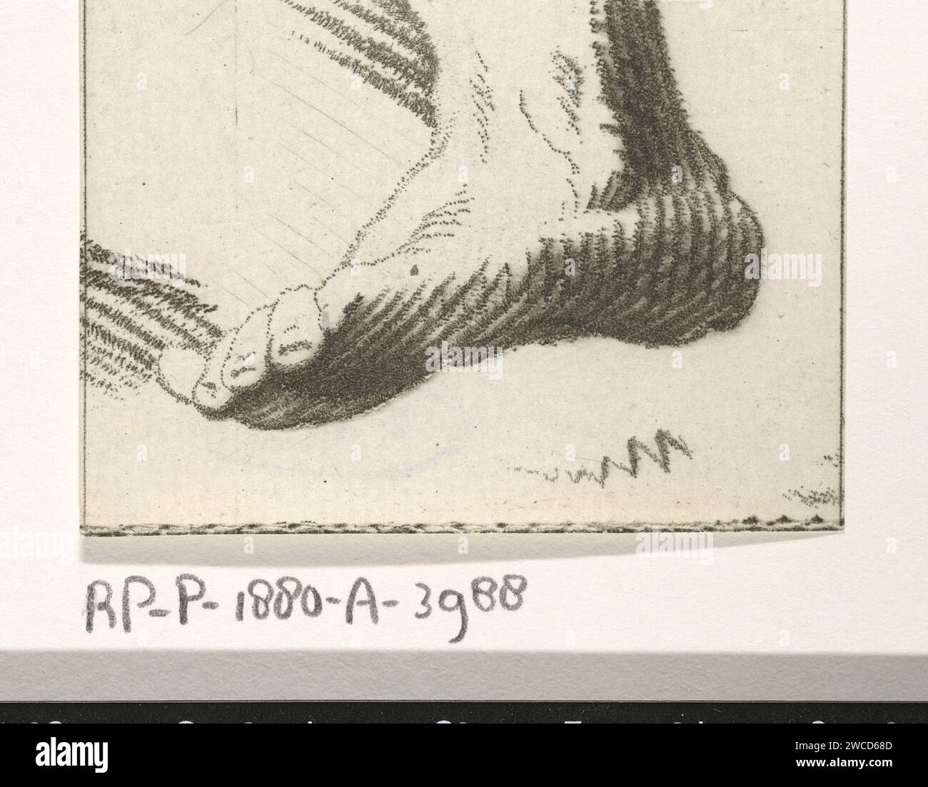 Voet, Caspar Jacobsz. Philips, 1752 - 1789 print Amsterdam paper foot ...