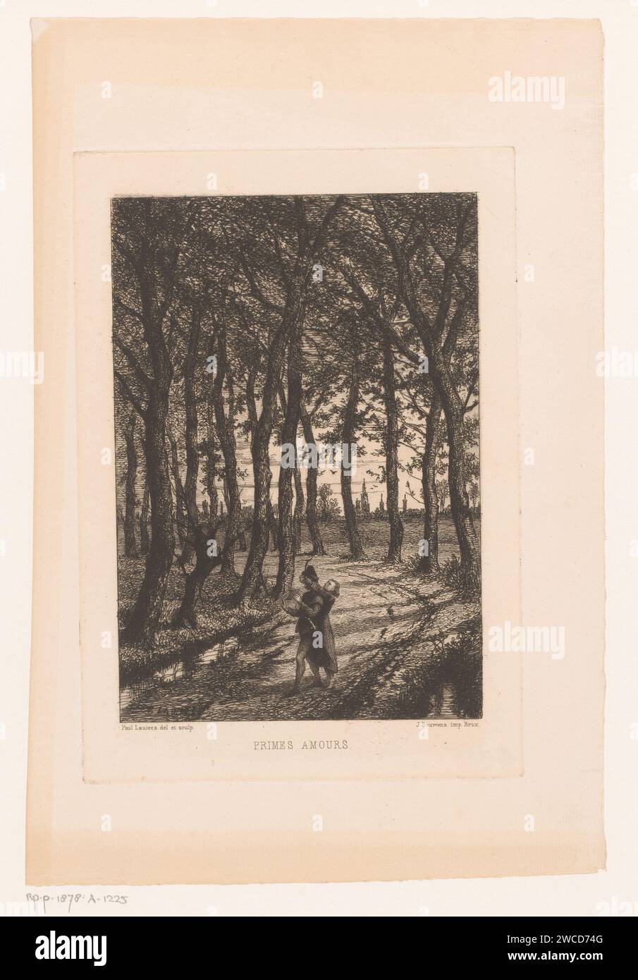 Avenue under tall trees hi-res stock photography and images - Alamy