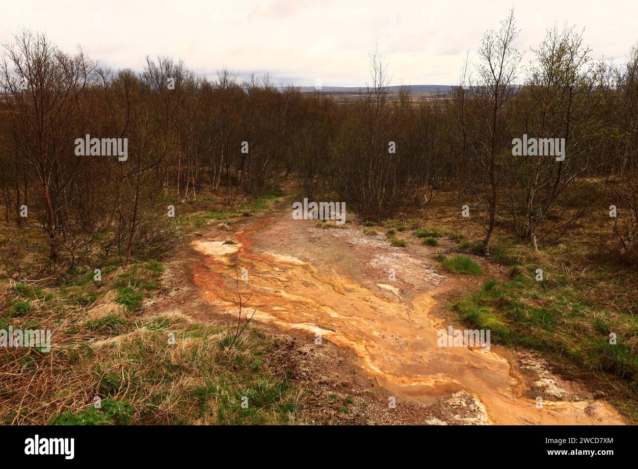 The Geysir geothermal field is a collection of hot springs, a dome and ...