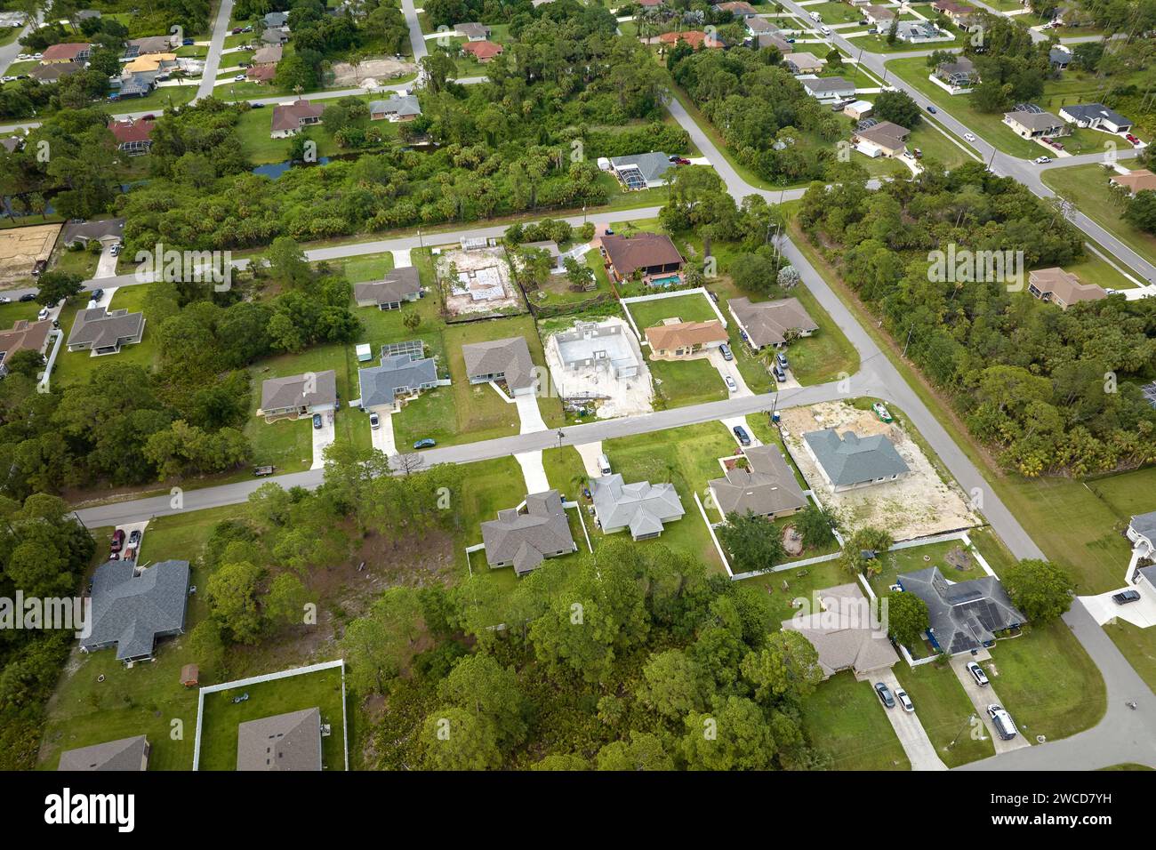 Aerial landscape view of suburban private houses between green palm ...