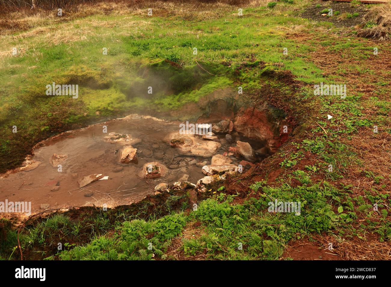 The Geysir geothermal field is a collection of hot springs, a dome and ...