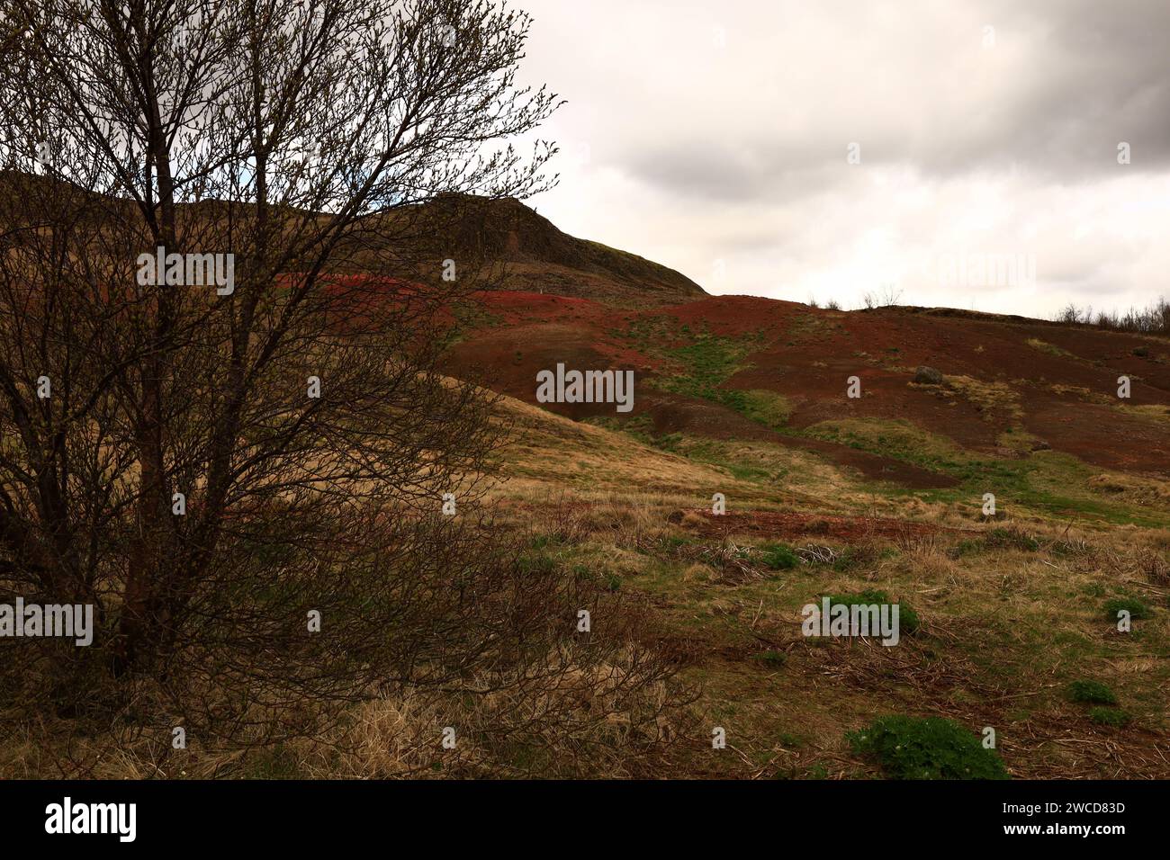 The Geysir geothermal field is a collection of hot springs, a dome and ...