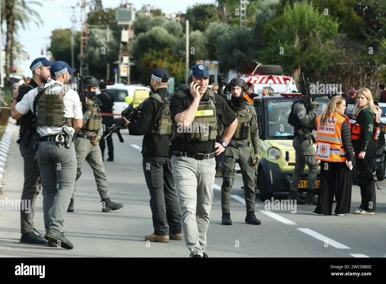 Car Rental Raanana Israel at Robin Alexander blog