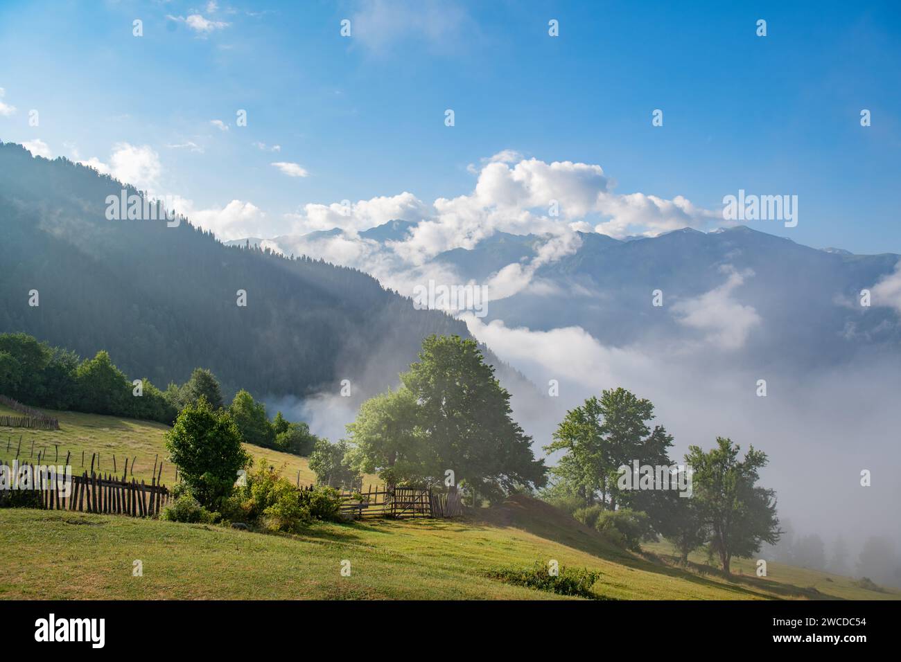 Cloud-Wrapped Majesty: Blue Skies Draping Over Green Mountain Ranges ...