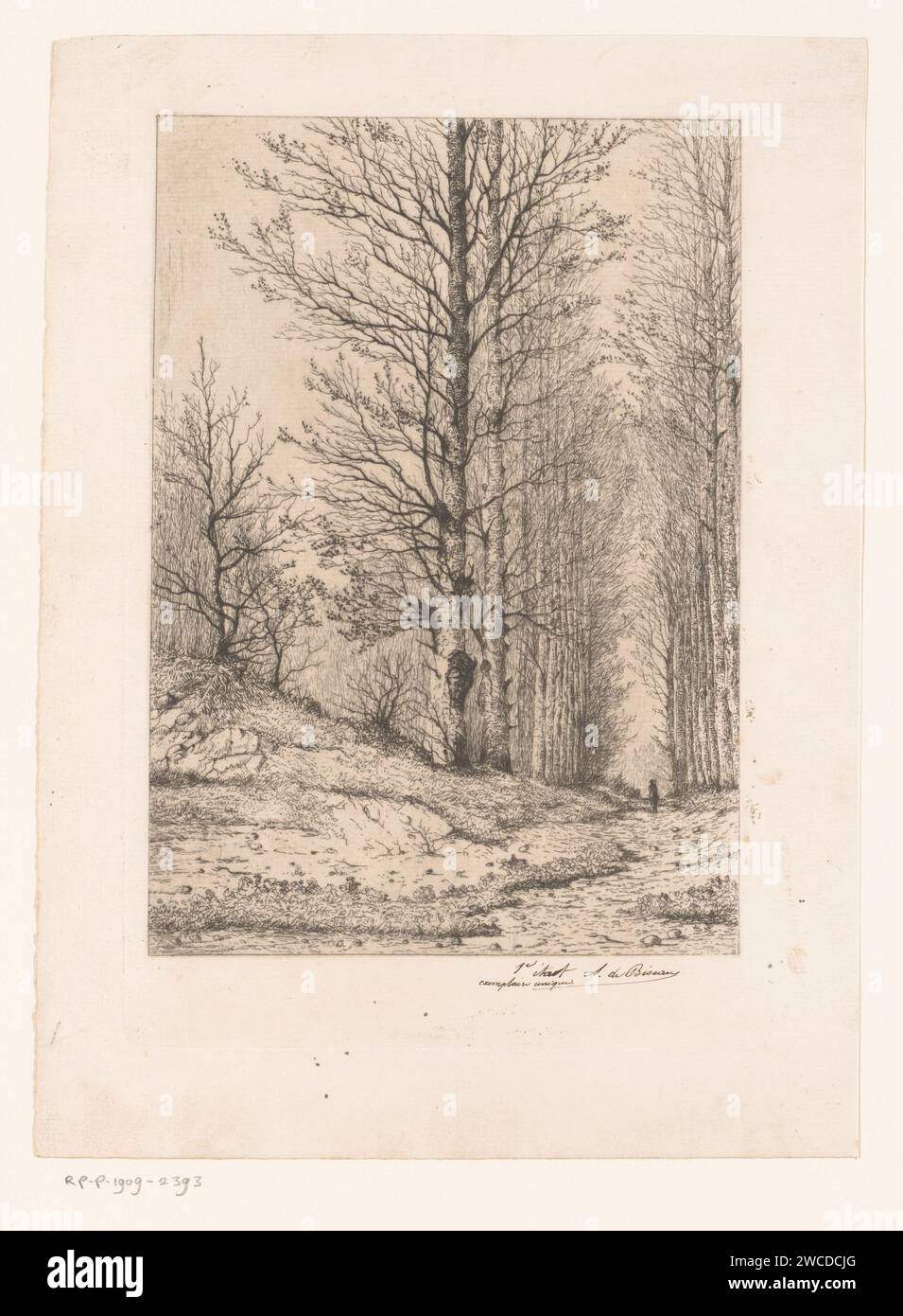 Boslaan with rider, Aristide de Biseau, 1873 print paper etching autumn ...