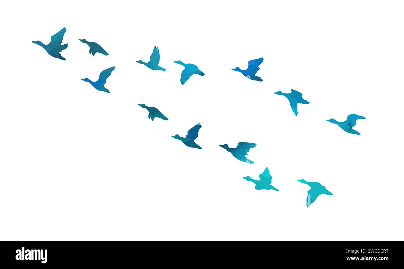 Silhouette of flying blue ducks. hand drawing. Not AI, Vector ...