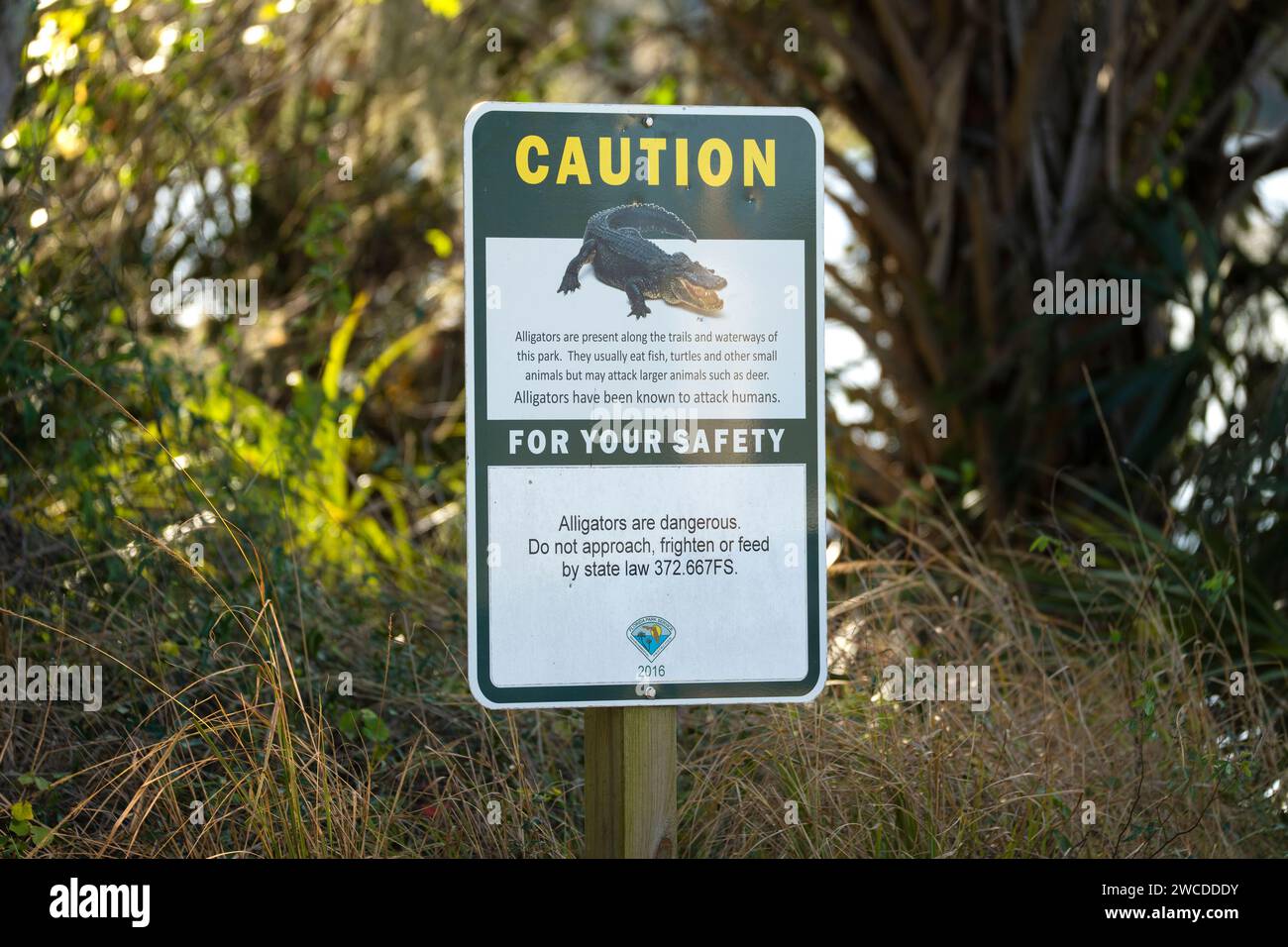 Alligators warning sign in Florida state park about caution and safety ...