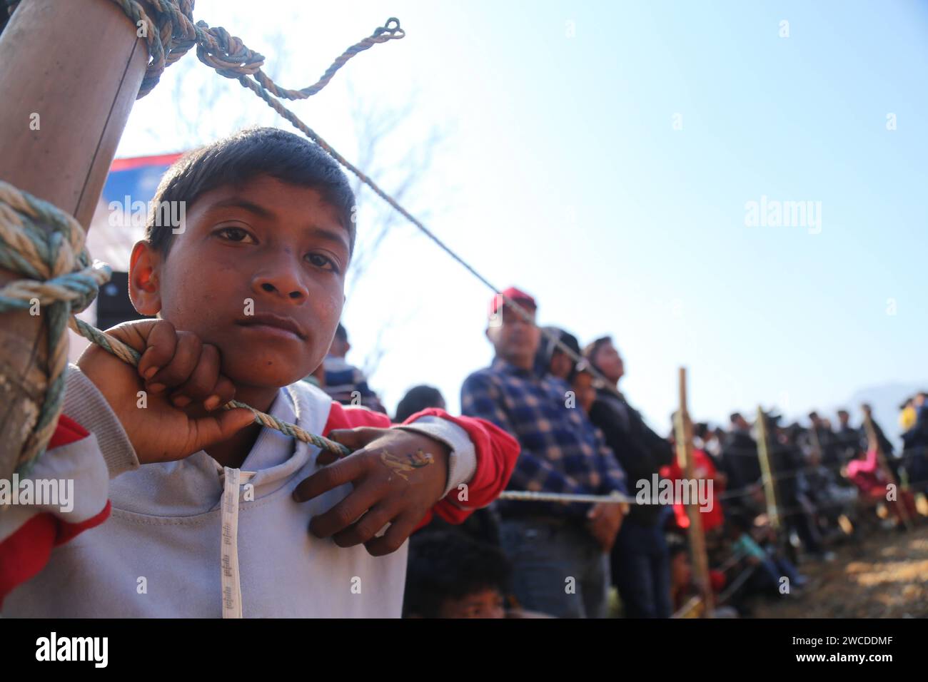 Annual bull fighting in Nepal on occasion of Maghe Sankranti/ Makar ...