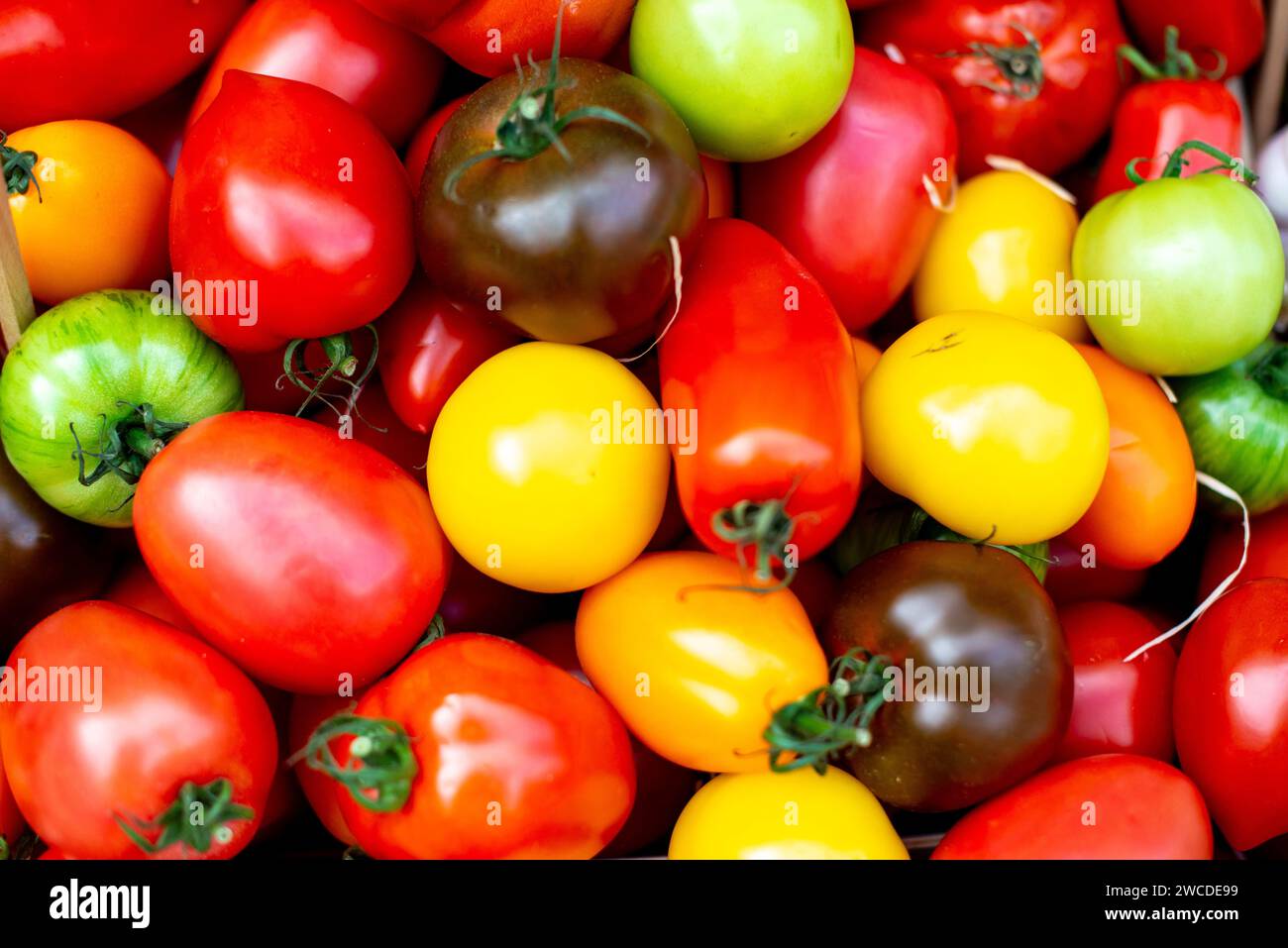 Red yellow green tomatoes hi-res stock photography and images - Alamy