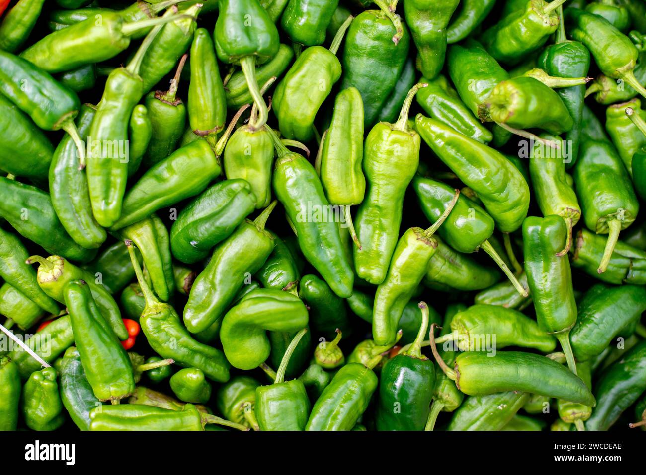 Photograph showcasing close up hi-res stock photography and images - Alamy