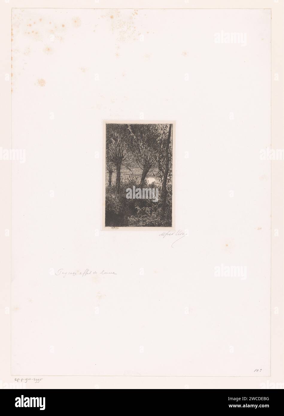 Forest face near Moonschijn, Alfred Elsen, 1860 - 1910 print paper ...