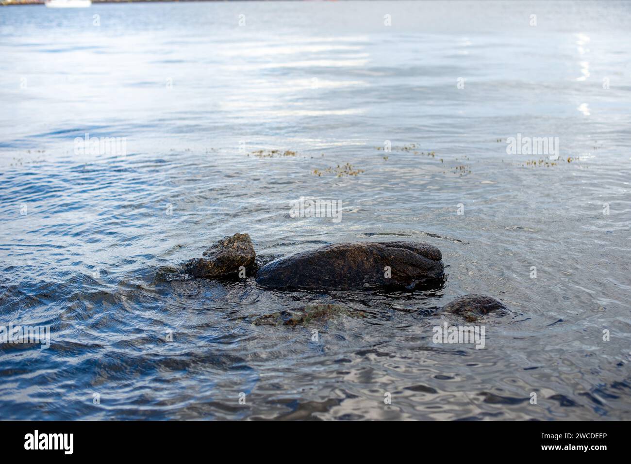 A cluster of massive boulders can be seen partially submerged in the ...