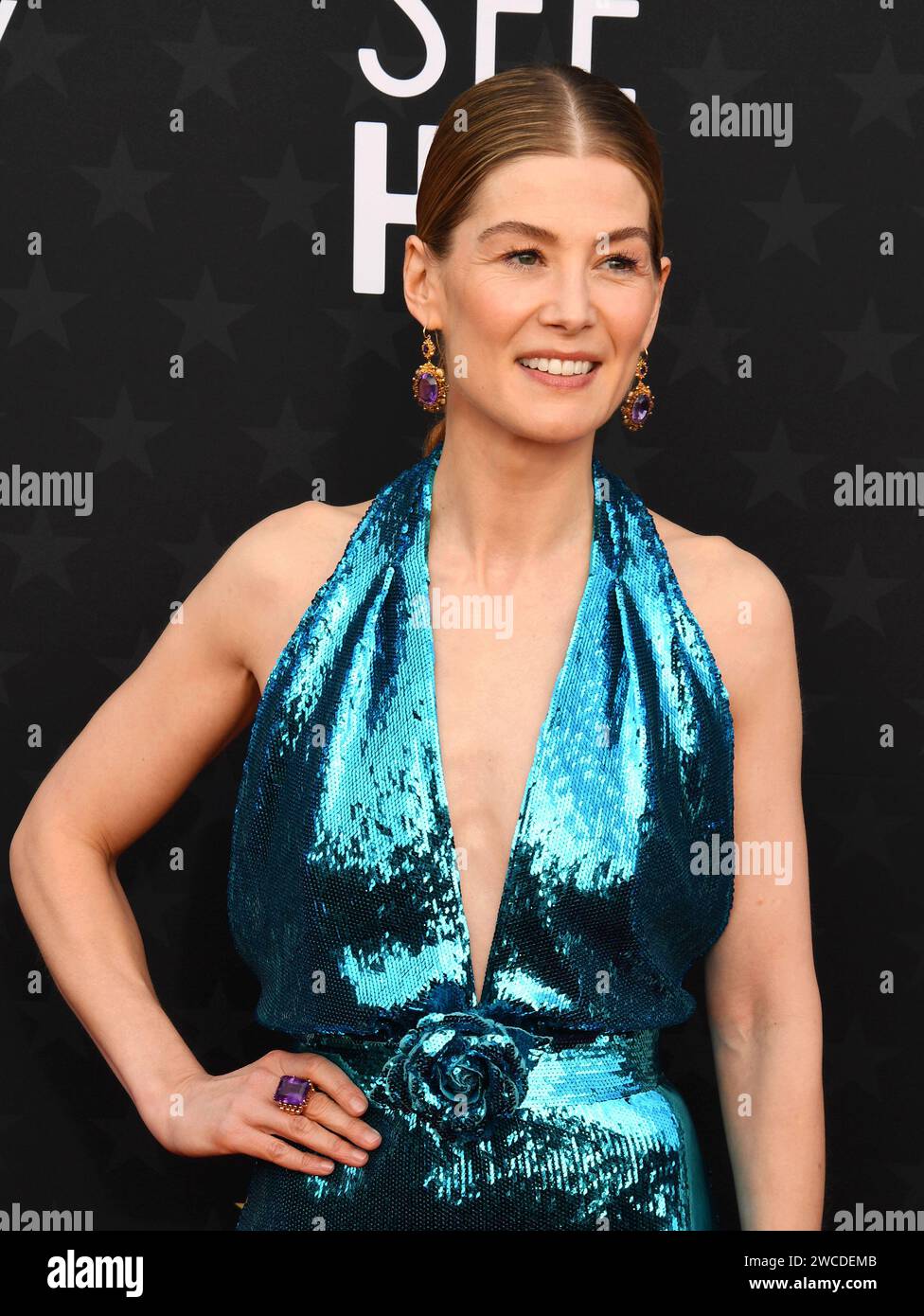 Rosamund pike 2024 hi-res stock photography and images - Alamy