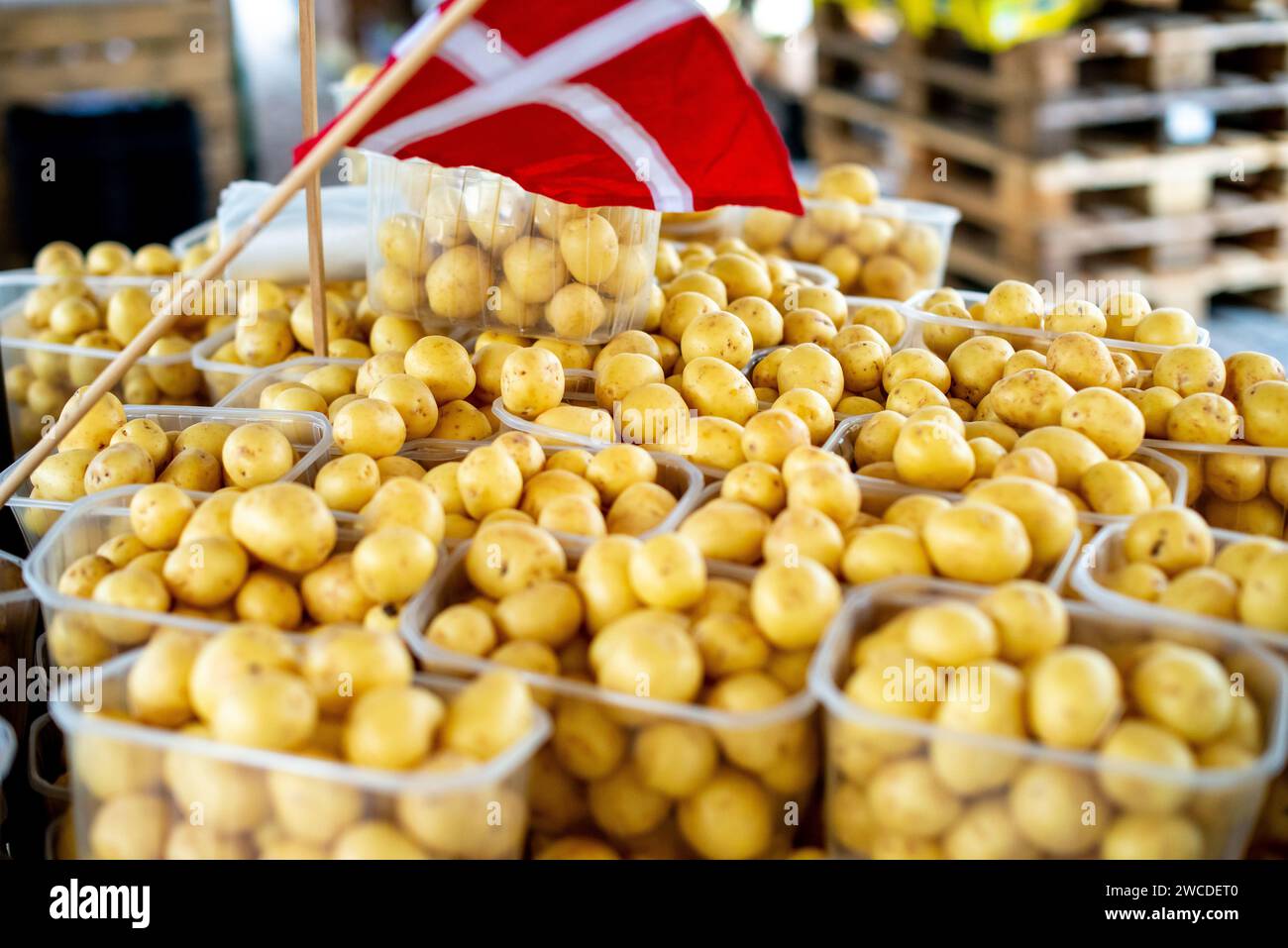 An attractive tabletop display featuring two rustic containers filled ...