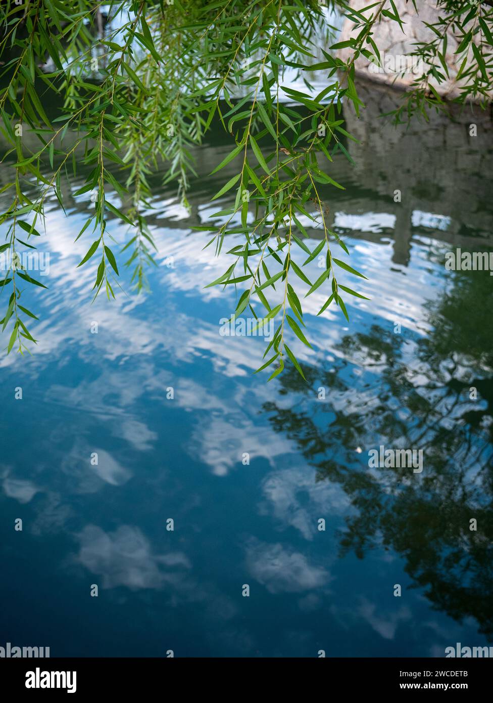 Water surface with reflections on the canal in the city of Kurashiki in ...
