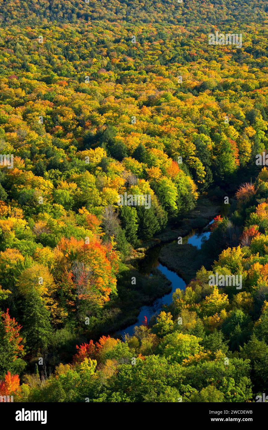 Forest view from Lake of the Clouds viewing area, Porcupine Mountains ...