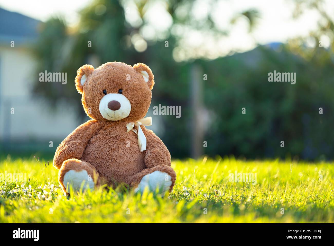 Concept of childhood. Big plush teddy bear sitting alone on green grass ...