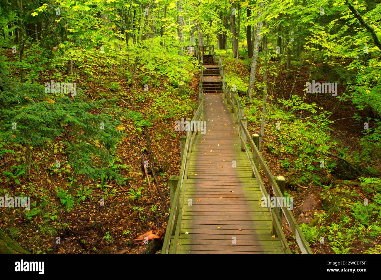 Boardwalk, North Country National Scenic Trail, Porcupine Mountains ...