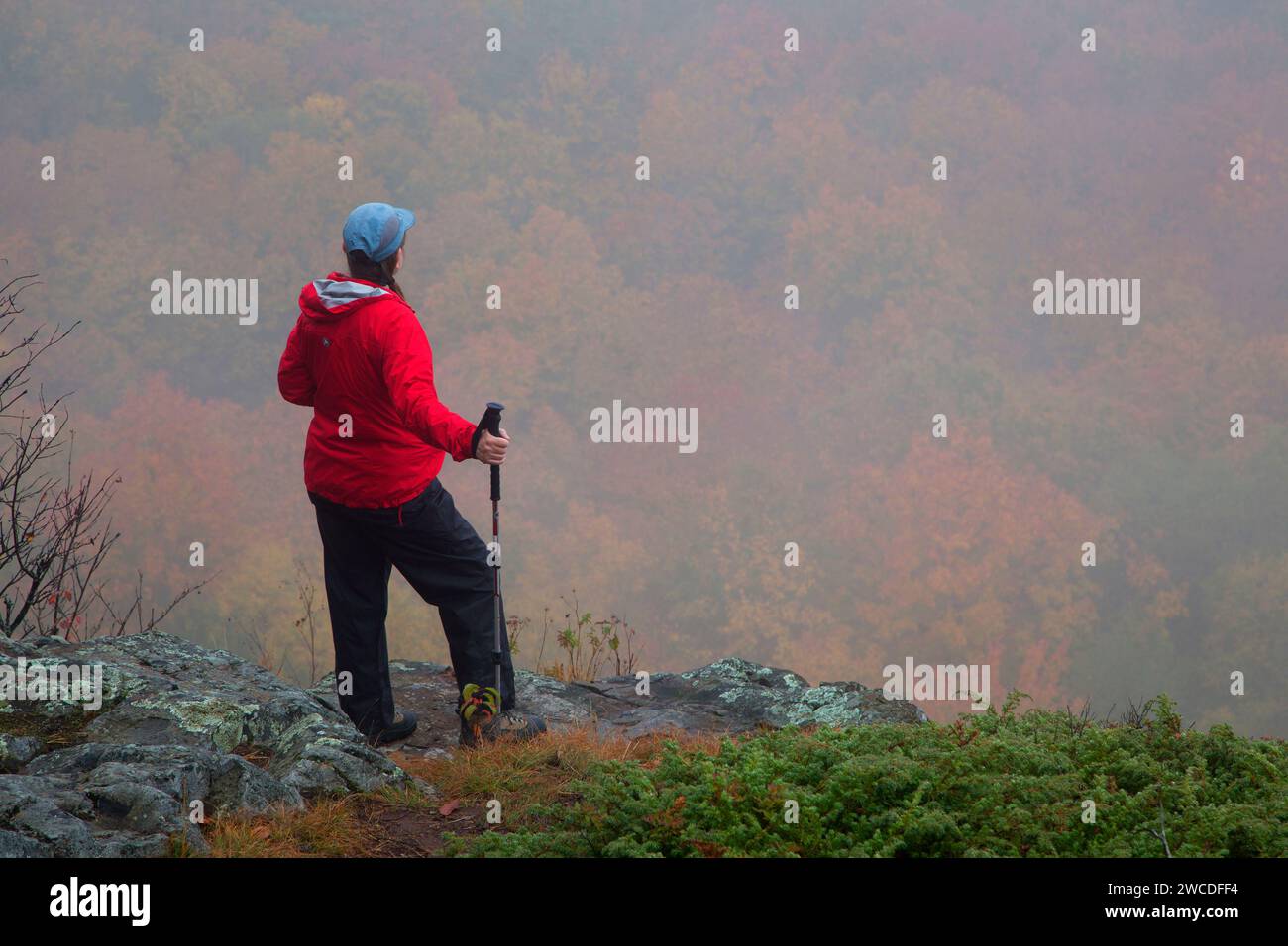 Wolf Mountain summit in fog from Wolf Mountain Trail, Ottawa National ...