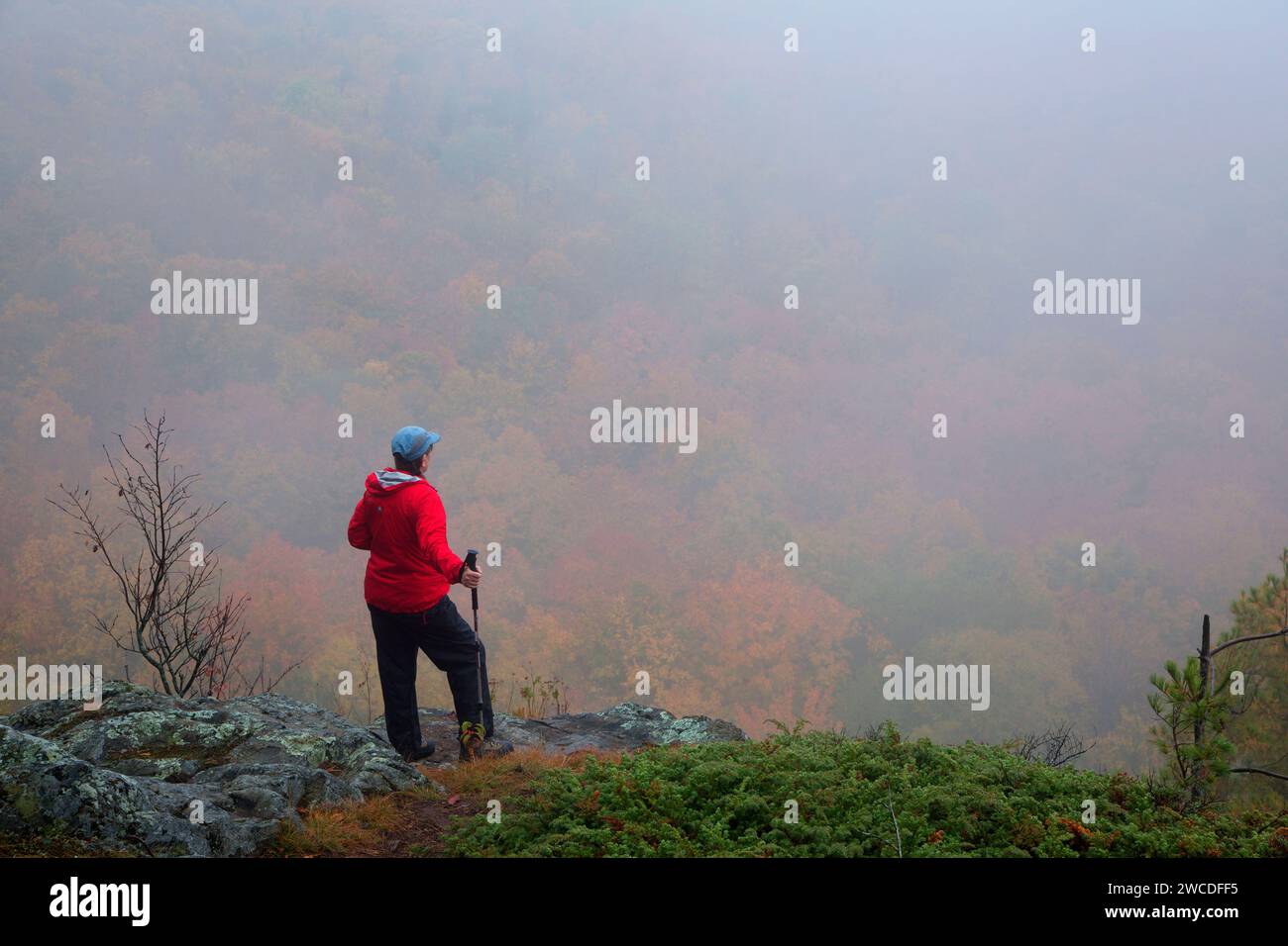 Wolf Mountain summit in fog from Wolf Mountain Trail, Ottawa National ...
