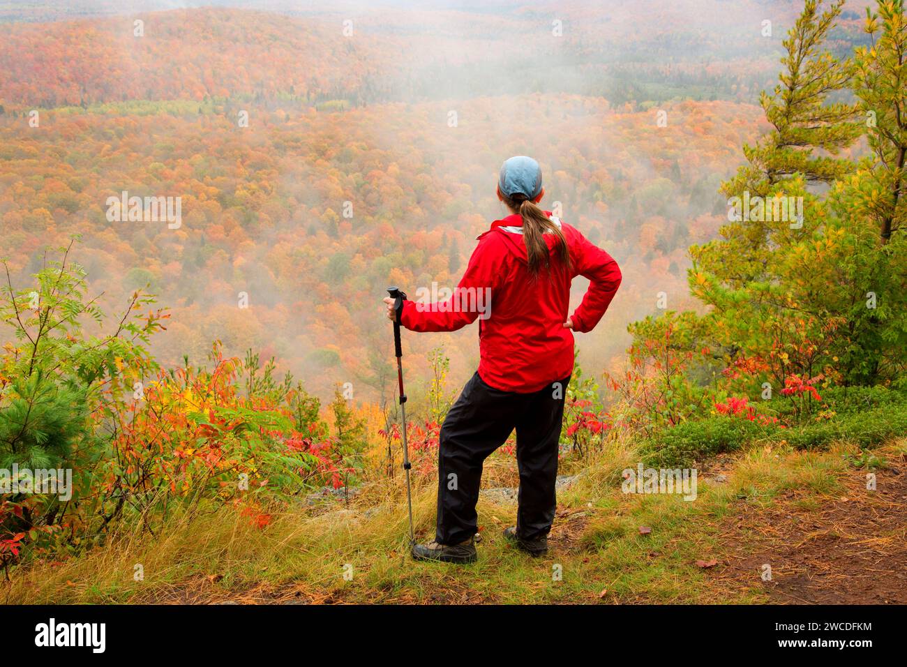 Wolf Mountain summit in fog from Wolf Mountain Trail, Ottawa National ...