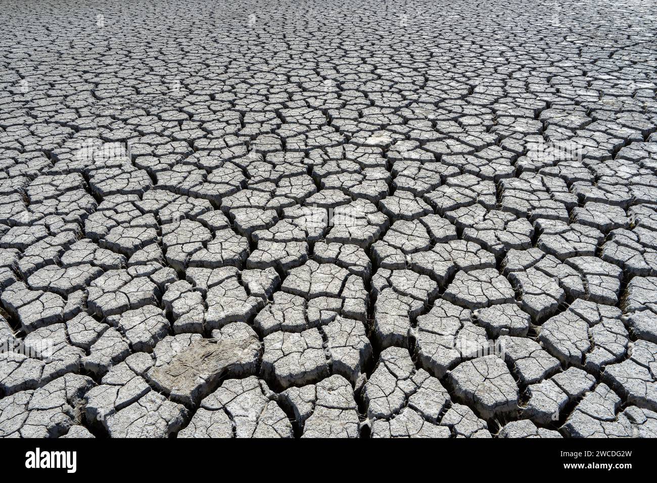 cracked floor of dry river where sludge was. Representation of a period ...
