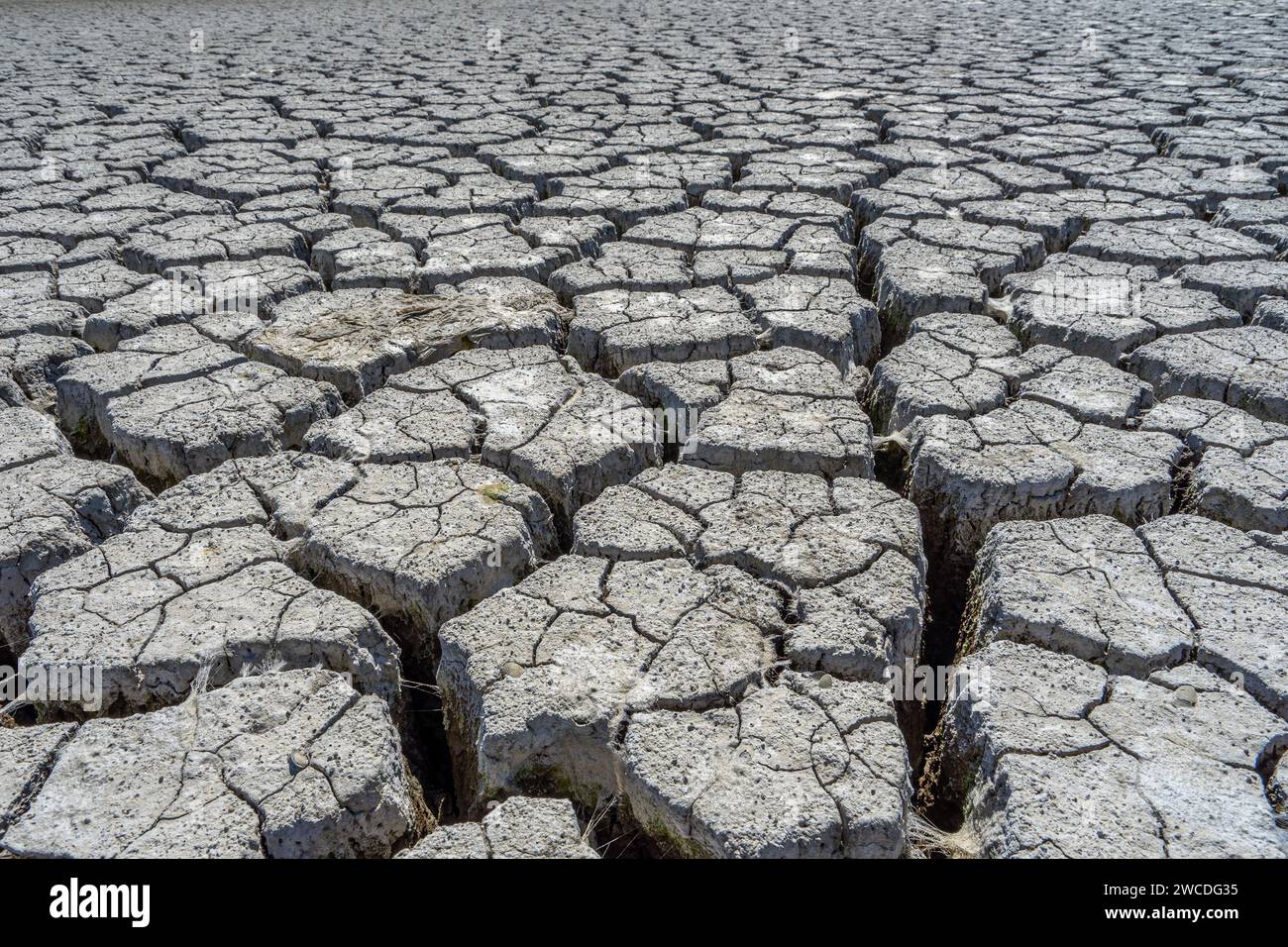 cracked floor of dry river where sludge was. Representation of a period ...