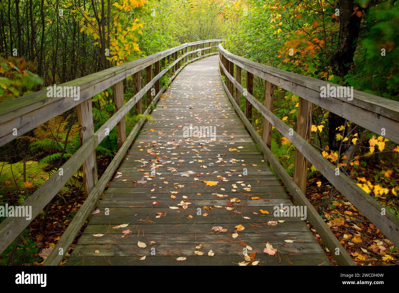Mcquisten recreation area hi-res stock photography and images - Alamy