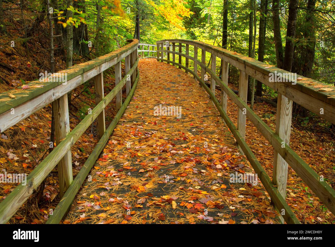 Boardwalk, McQuisten Recreation Area, Wetmore, Michigan Stock Photo - Alamy