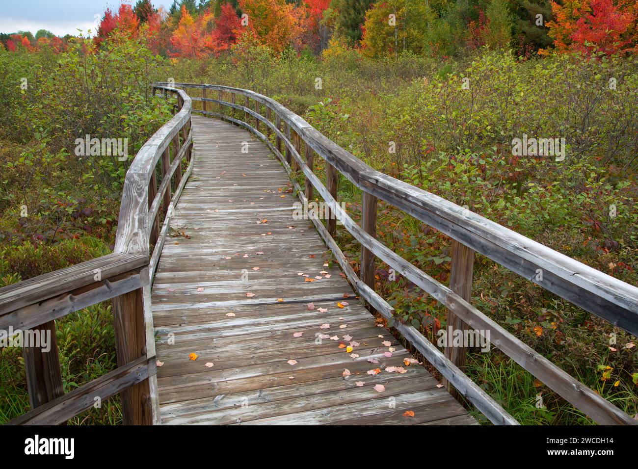 Boardwalk, McQuisten Recreation Area, Wetmore, Michigan Stock Photo - Alamy