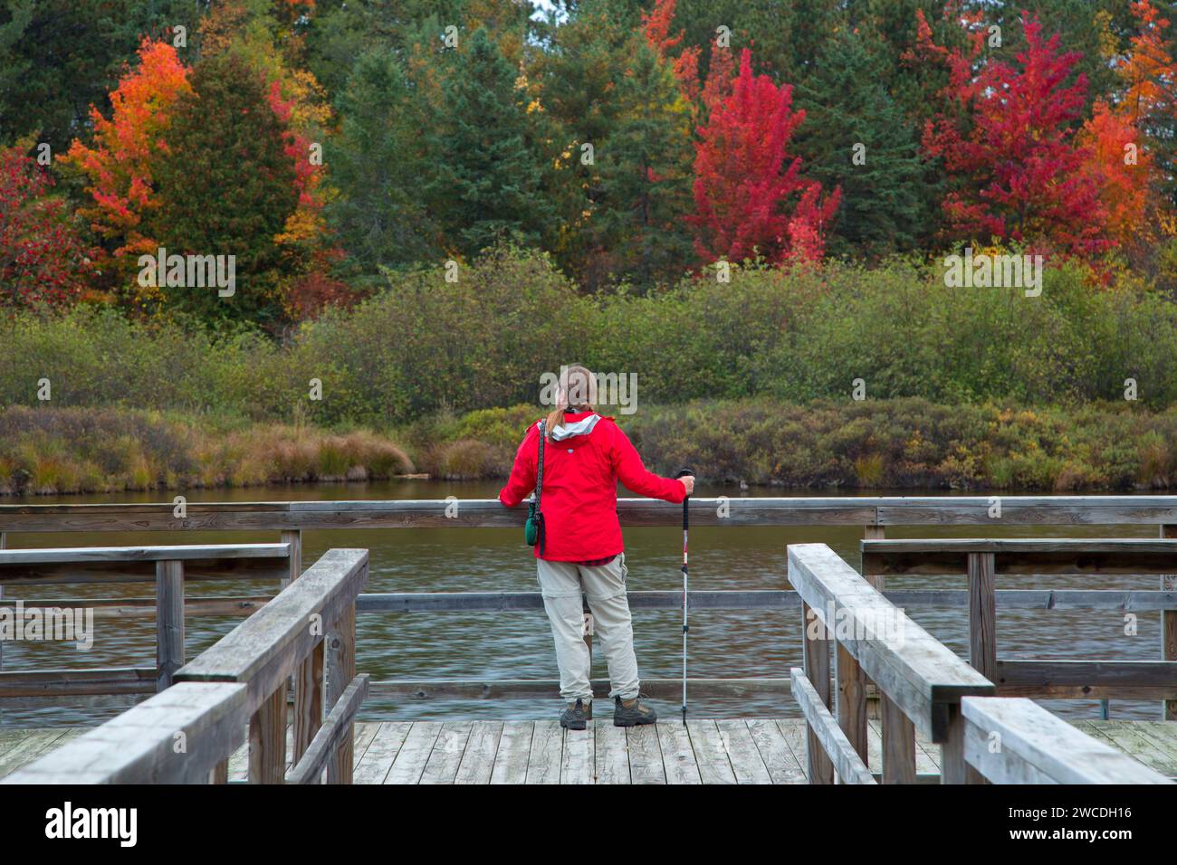 Dock on Cox Pond, McQuisten Recreation Area, Wetmore, Michigan Stock ...