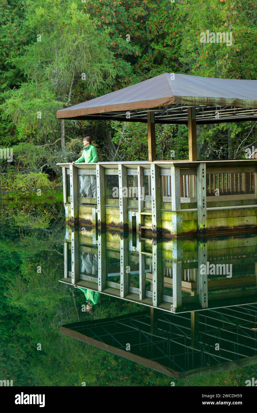 Kitch-iti-kipi spring observation raft, Palms Brook State Park ...