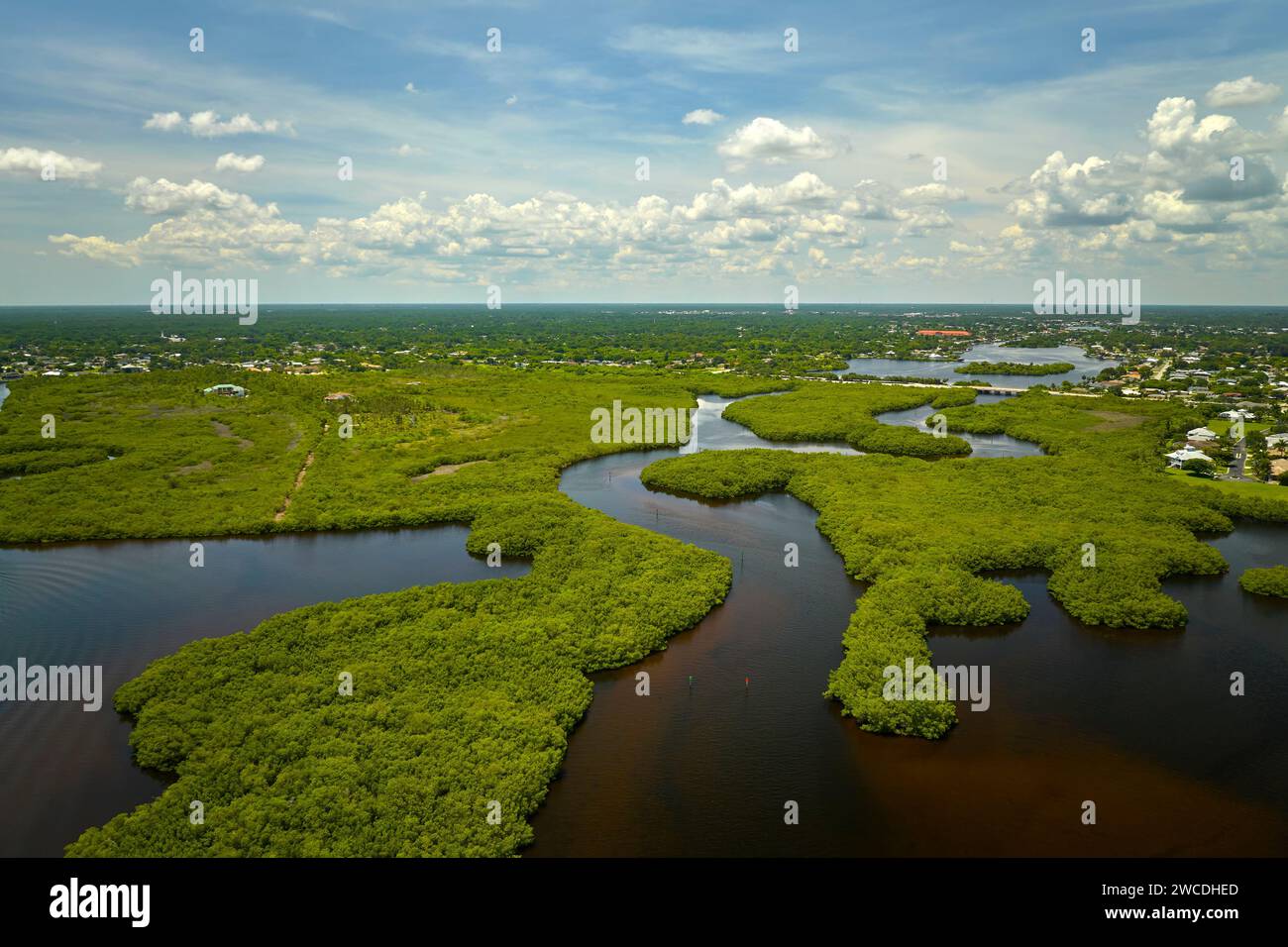 Overhead view of Everglades swamp with green vegetation between water ...