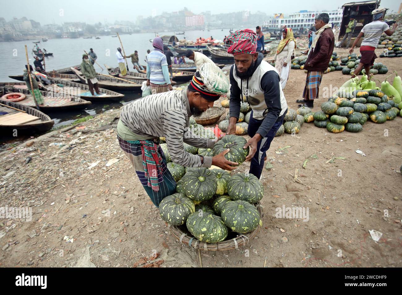 Vegetable 2024 hi-res stock photography and images - Alamy