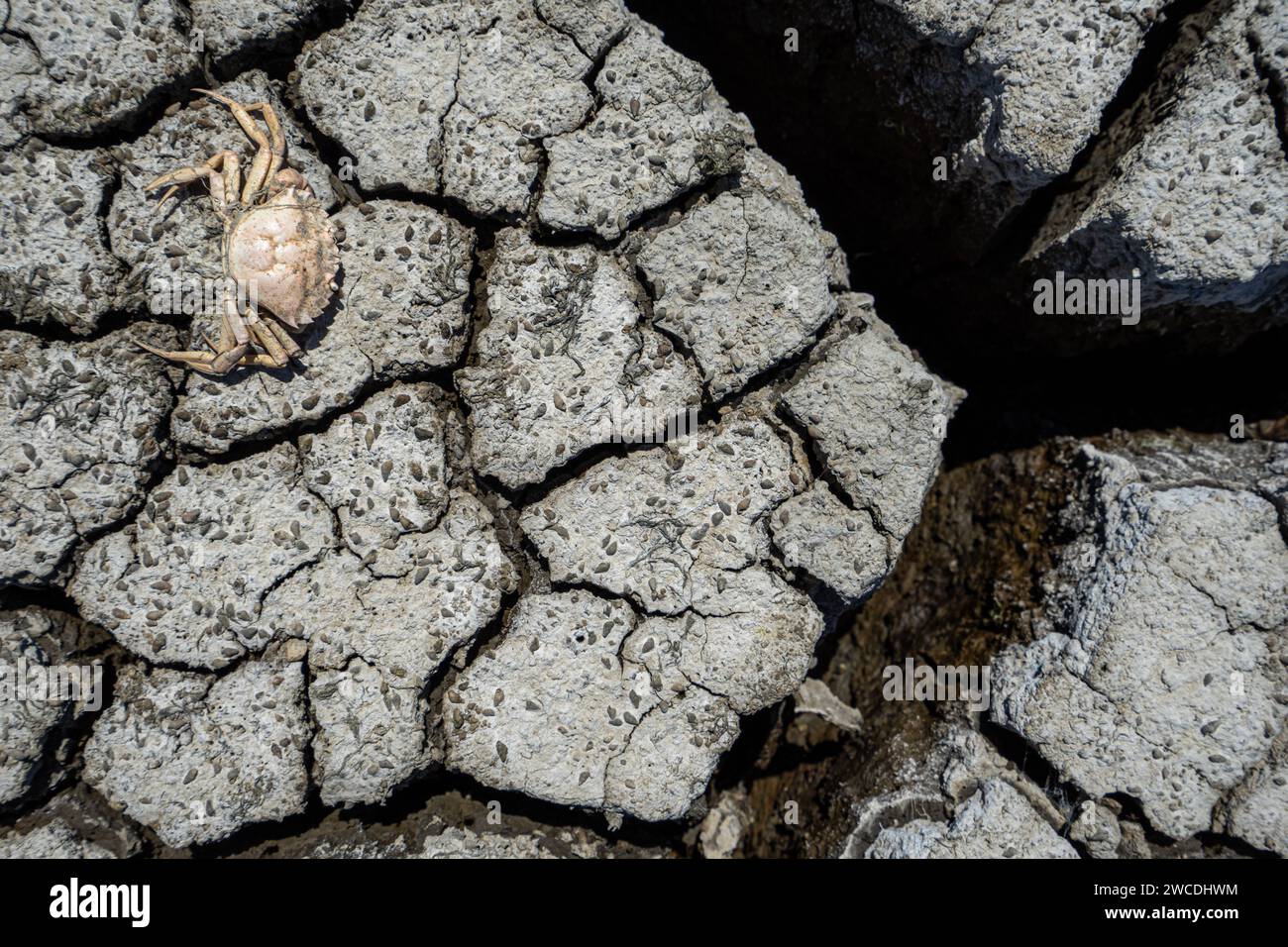 dry and cracked floor of dry river of caldera grande in the city of ...