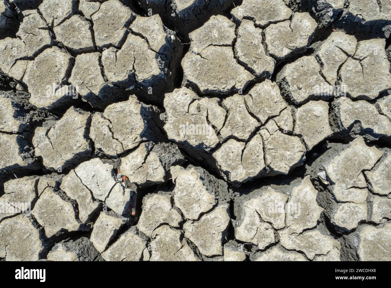 cracked floor of dry river where sludge was. Representation of a period ...