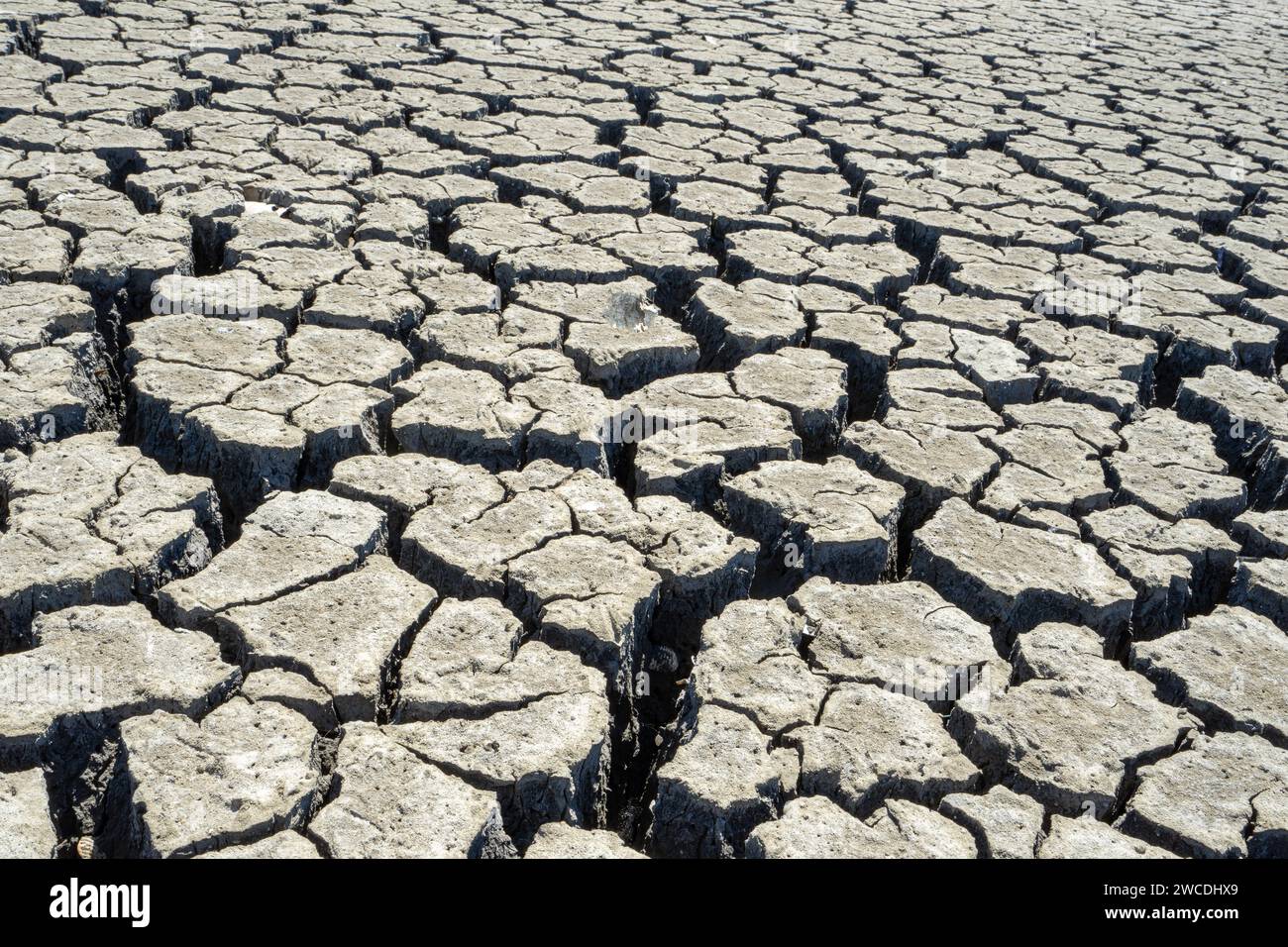 cracked floor of dry river where sludge was. Representation of a period ...