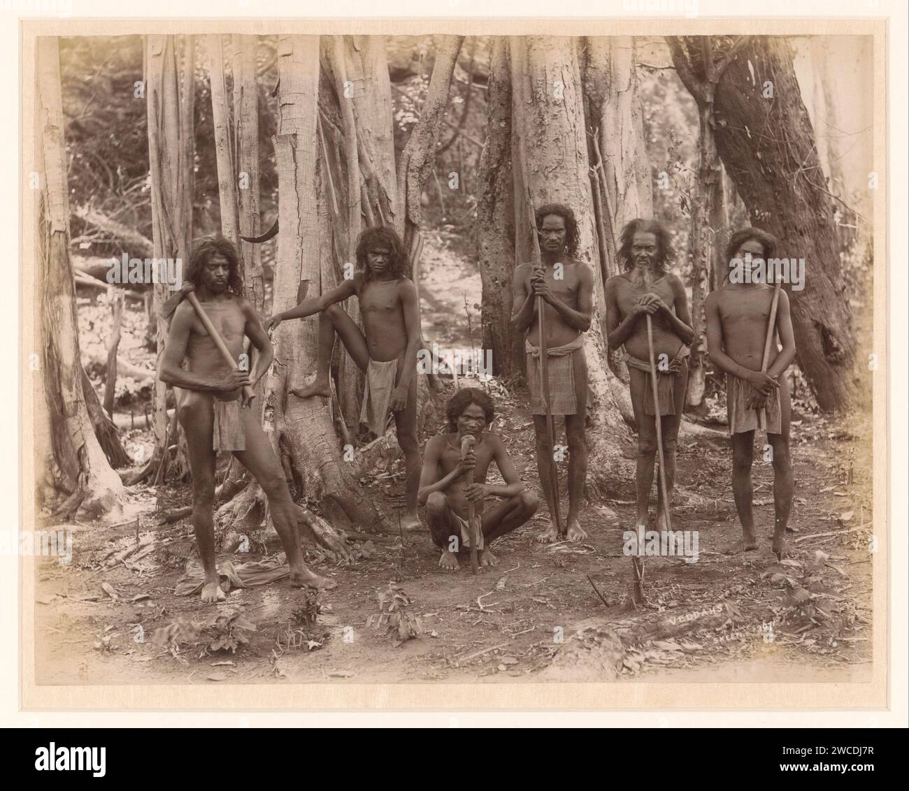 Group portrait of six unknown Vedda men in the forests of Sri Lanka ...